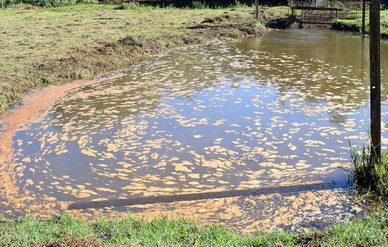 Biosolids Lagoon Remediation - Stage 3 Separation